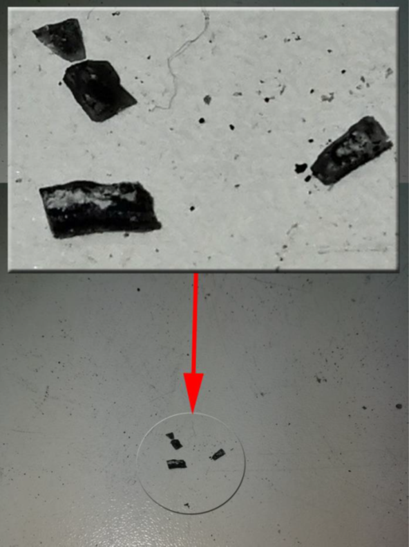 particle-filter for liquid nitrogen supply line - EEP Maschinenbau BERG
